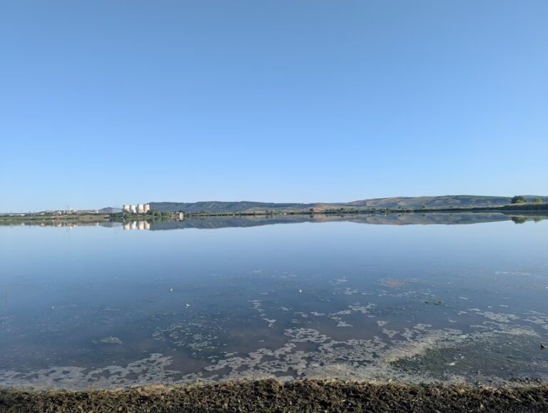 Iernut | Magazine